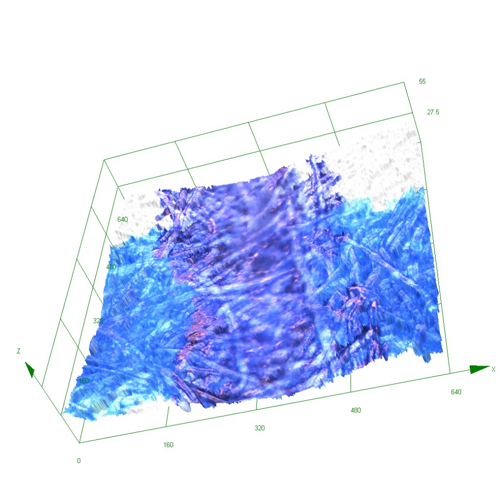 Tätigkeitsbereiche - Thomas Hecker